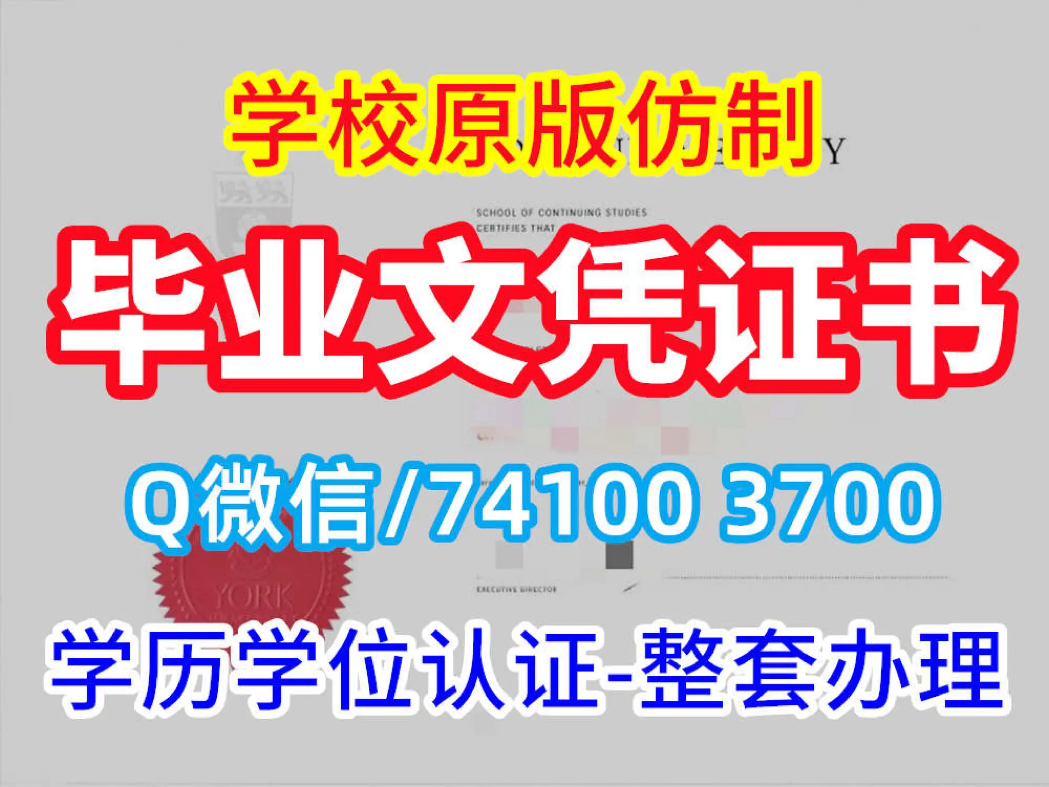 SJSU Master Diploma | PDF