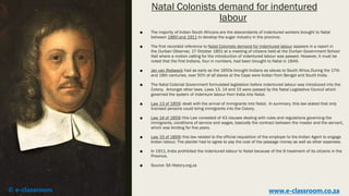 158382456815-grade-10-history-term-3.pdf