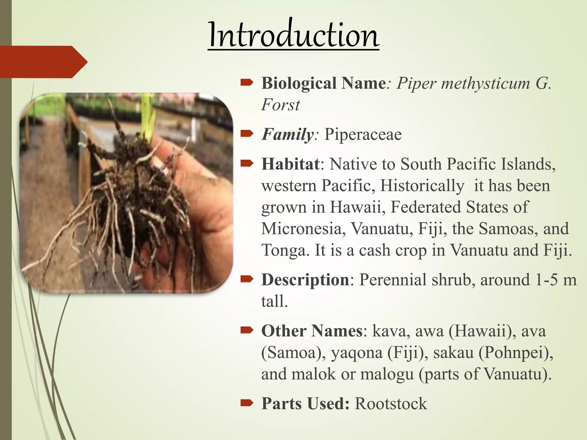 Significance and Importance of Kava kava as a nutraceutical | PPTX