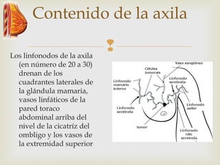 Anatomía de la Mama y la Región Axilar | PPT