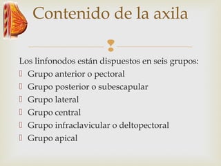 Anatomía de la Mama y la Región Axilar | PPT