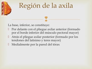 Anatomía de la Mama y la Región Axilar | PPT