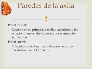 Anatomía de la Mama y la Región Axilar | PPT