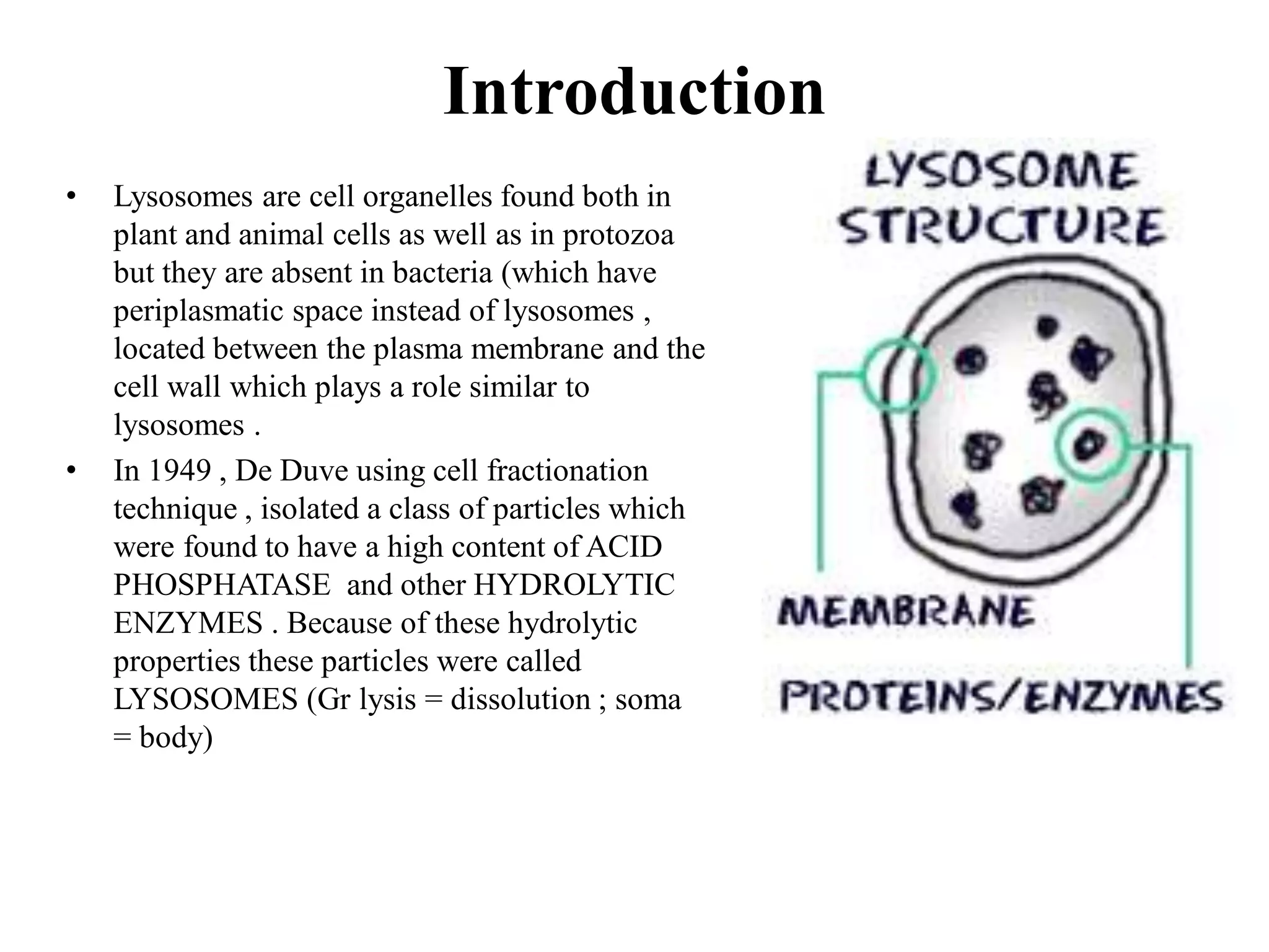 1585118470_Z(H)-II-LYSOSOMES.pdf