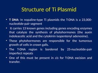 Biotechnology - concept of transgenic_plants.pptx