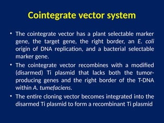 Biotechnology - concept of transgenic_plants.pptx