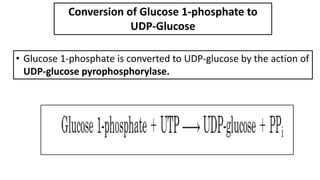 1585123639_Z(H)-VI-Biochemistry-2.pptx