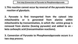 1585123639_Z(H)-VI-Biochemistry-2.pptx