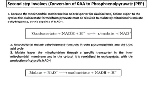 1585123639_Z(H)-VI-Biochemistry-2.pptx