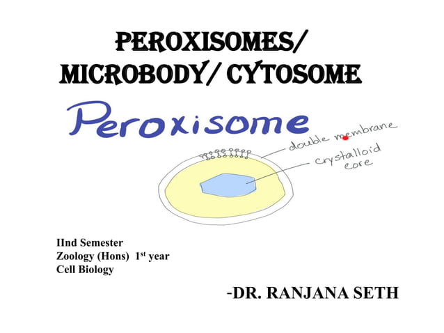 1585301966_Z(H)-II-Peroxisomes, microbodies and cytosome.pdf