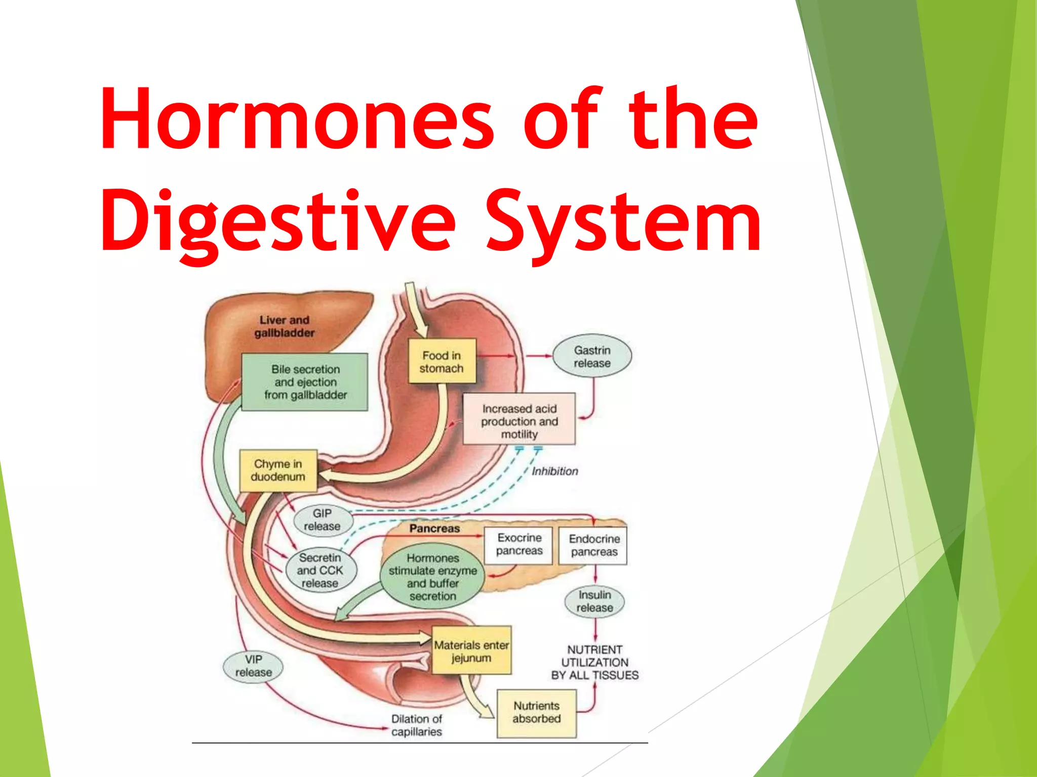 Hormones of the digestive system.ppt
