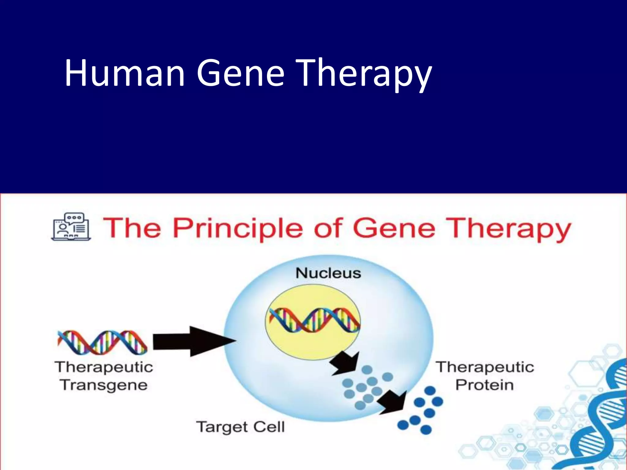 Animal cell biotechnology | PPTX
