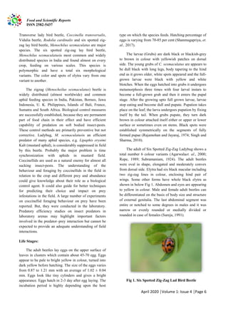 1585768721six_spotted_zigzag_ladybird_beetle.pdf