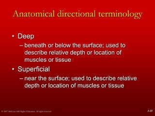 1586438642KINESIOLOGY_SHS_306_LECTURE_MODULE_1.ppt