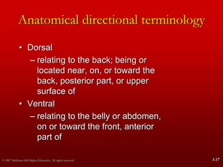 1586438642KINESIOLOGY_SHS_306_LECTURE_MODULE_1.ppt