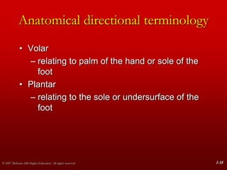 1586438642KINESIOLOGY_SHS_306_LECTURE_MODULE_1.ppt
