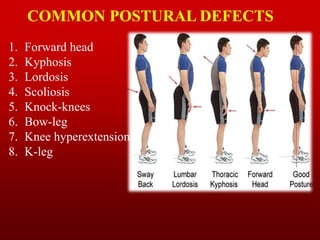 1586439085KINESIOLOGY_SHS_306_LECTURE_MODULE_3.ppt | Physical Therapy ...