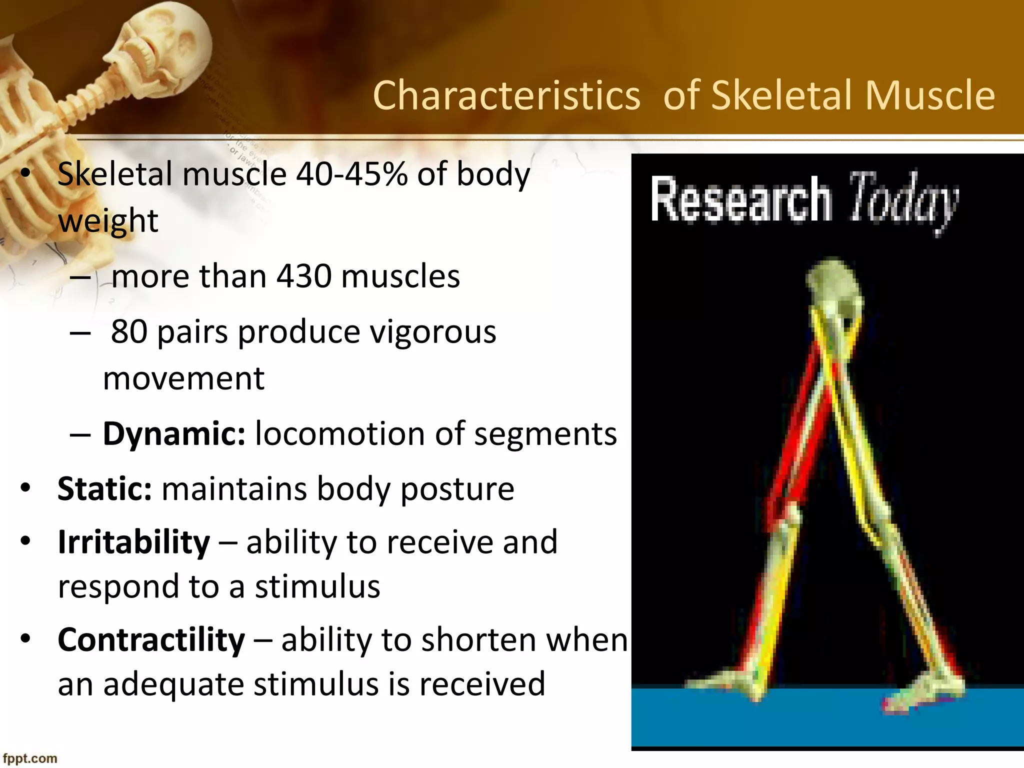 1587124408-biomechanics-of-skeletal-muscles.pdf