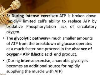 1587124408-biomechanics-of-skeletal-muscles.pdf