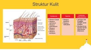 1587128014131 presentasi abses pedis | PPTX