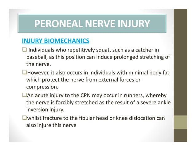 1587196359-pathophysiology-of-peripheral-nerve-injuries-part-d.pdf