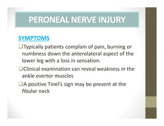 1587196359-pathophysiology-of-peripheral-nerve-injuries-part-d.pdf