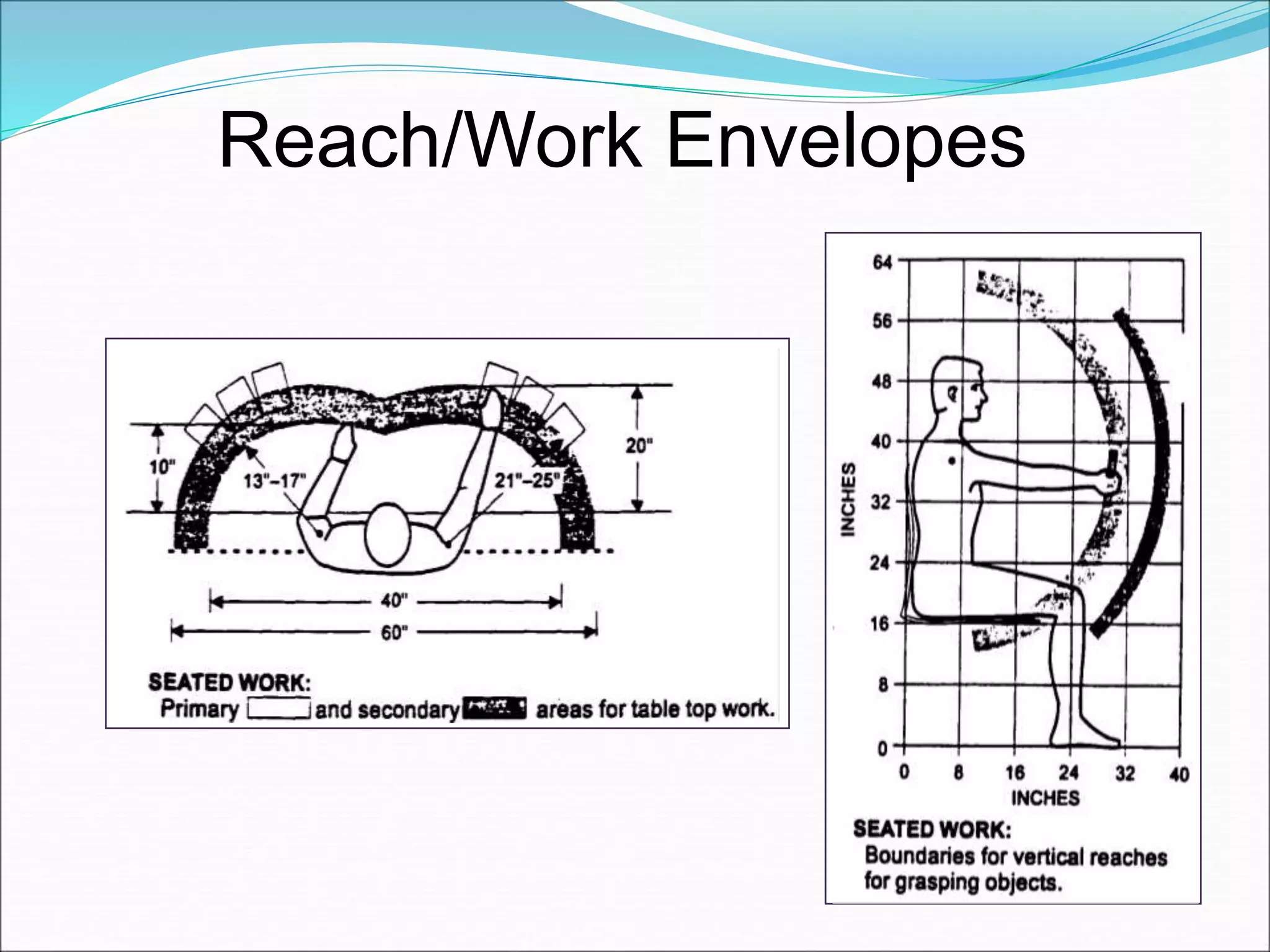 1587221874-antropometry.ppt