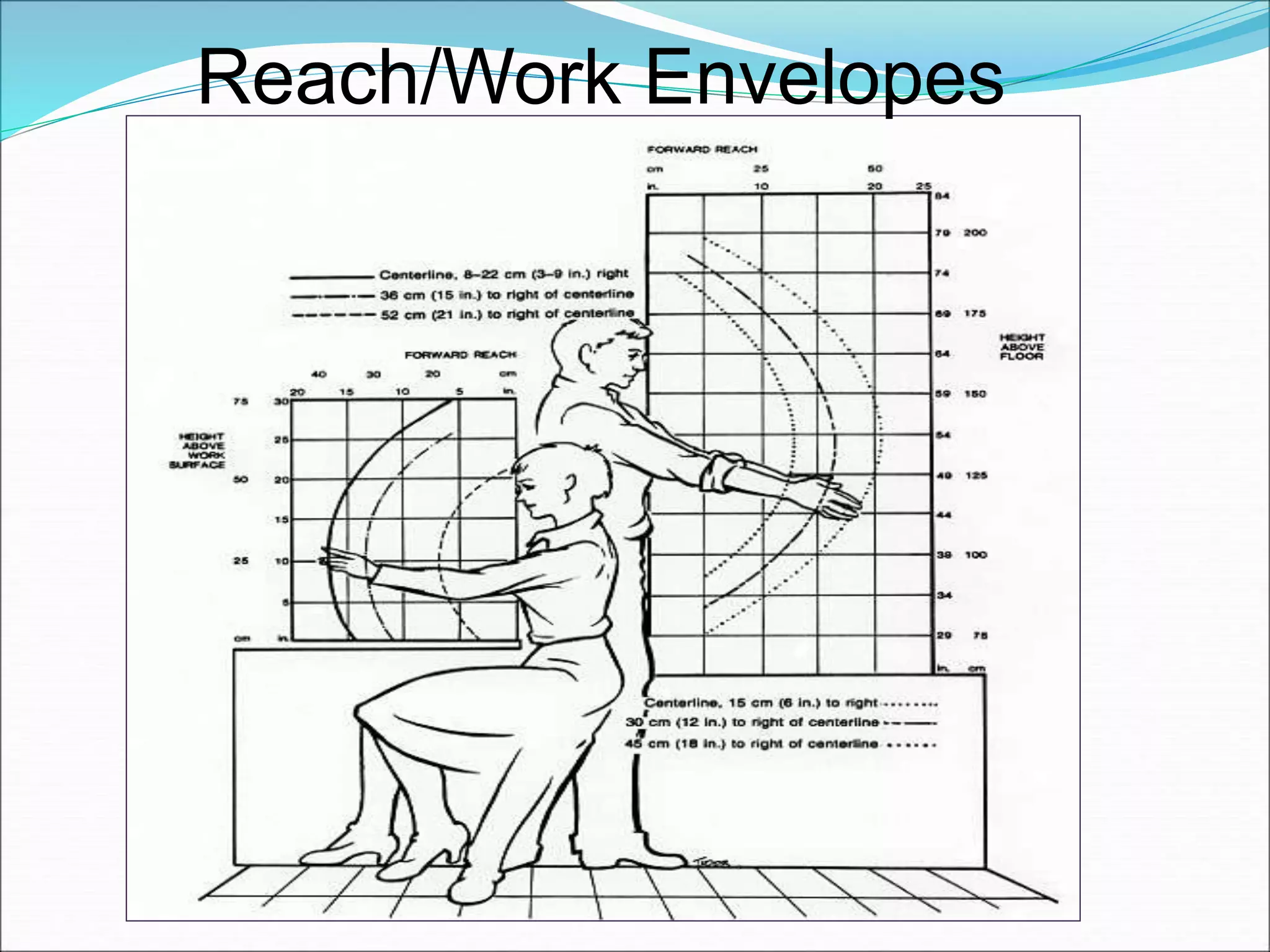 1587221874-antropometry.ppt