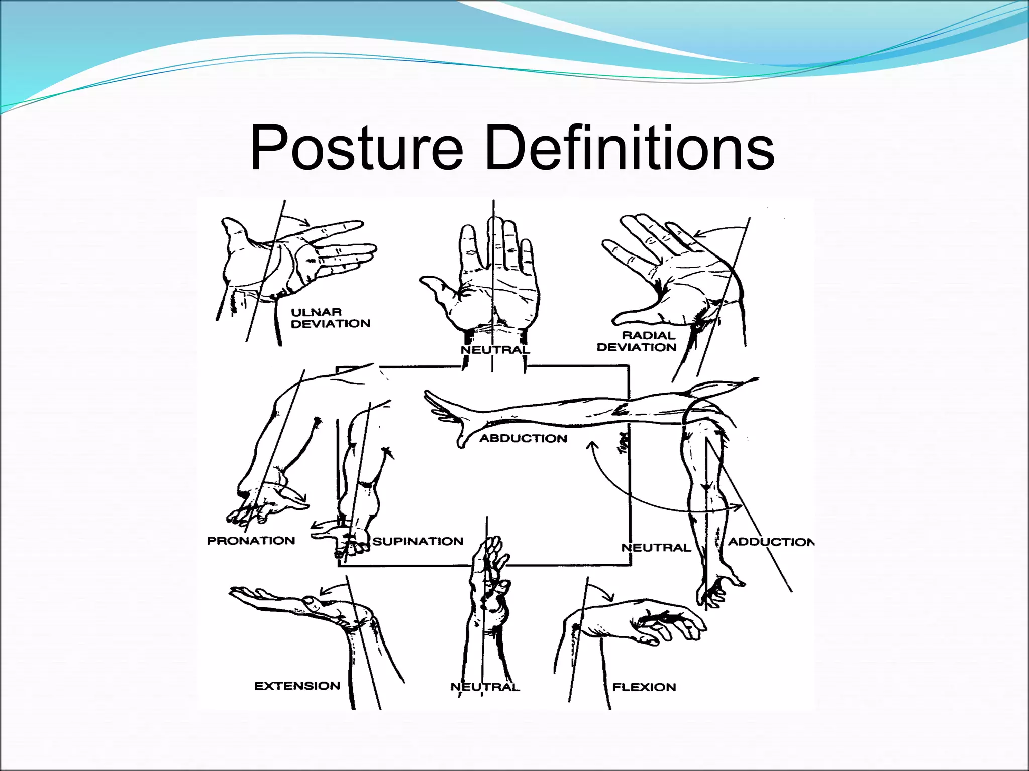1587221874-antropometry.ppt