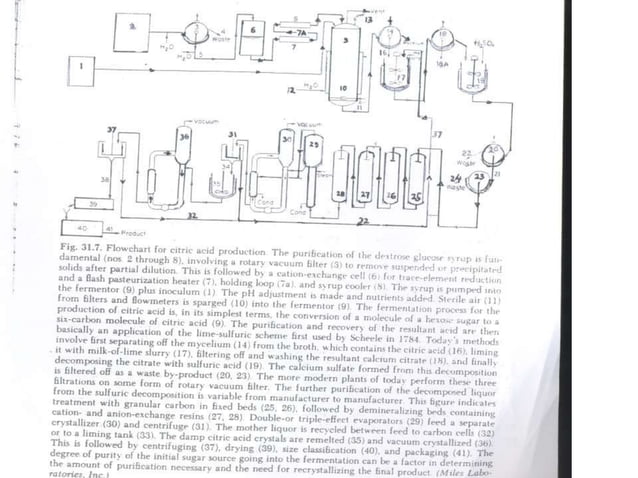 1587365173-sugar-refining-process.ppt | Chemistry | Science