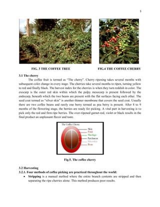 1587535242Unit III Processing of coffee.pdf | Home Appliances | Home ...