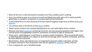 Processing of cereals | PPTX