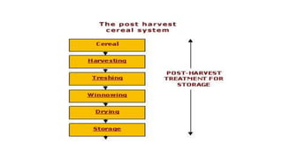Processing of cereals | PPTX