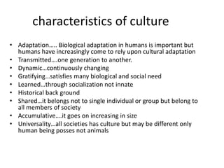 Organization of Culture PS&C - Week four | PPTX