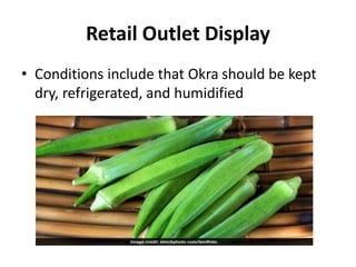 1588009859-okra-ppt.pptx