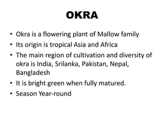 1588009859-okra-ppt.pptx