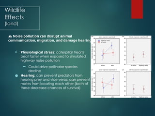 Noise Pollution and its effects, its all about noise pollution | PPT