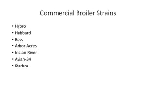 1588245322-10-broiler-and-layer-management.pptx
