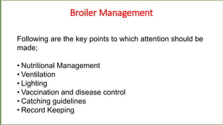 1588245322-10-broiler-and-layer-management.pptx