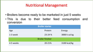 1588245322-10-broiler-and-layer-management.pptx