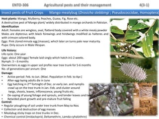 insect-pests-of-mango-crop -LifeCYCLE.pptx