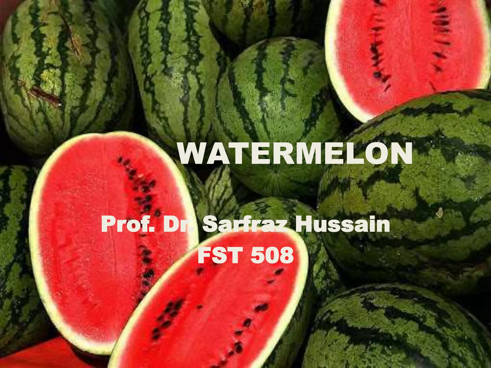 1588452060-watermelon-ppt.pptx