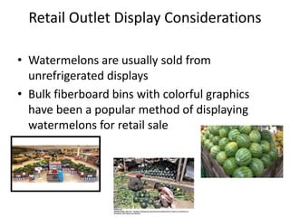 1588452060-watermelon-ppt.pptx