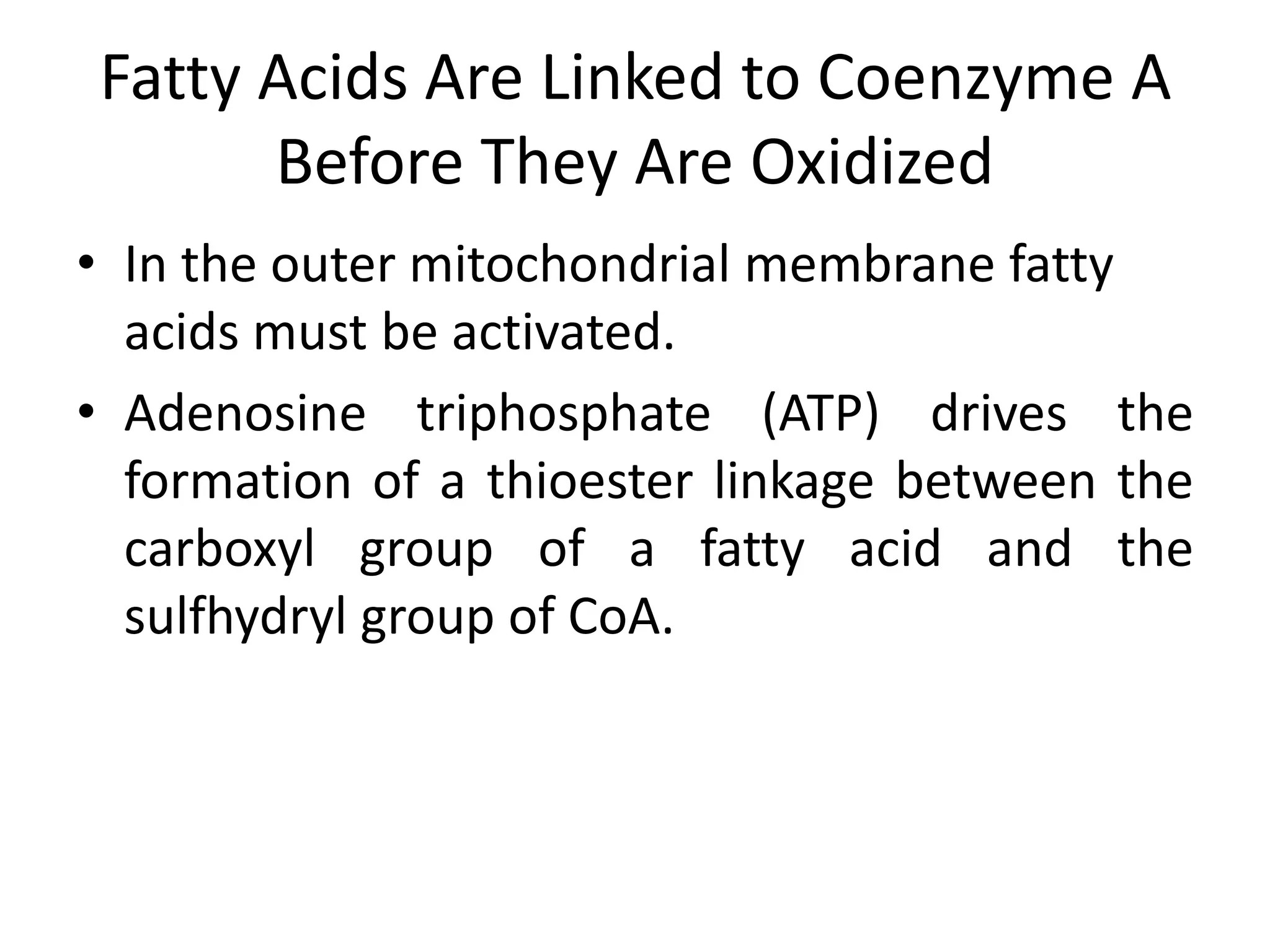 fatty-acid-metabolism | PPTX