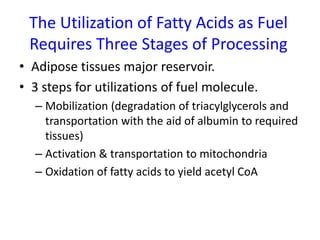 fatty-acid-metabolism | PPTX