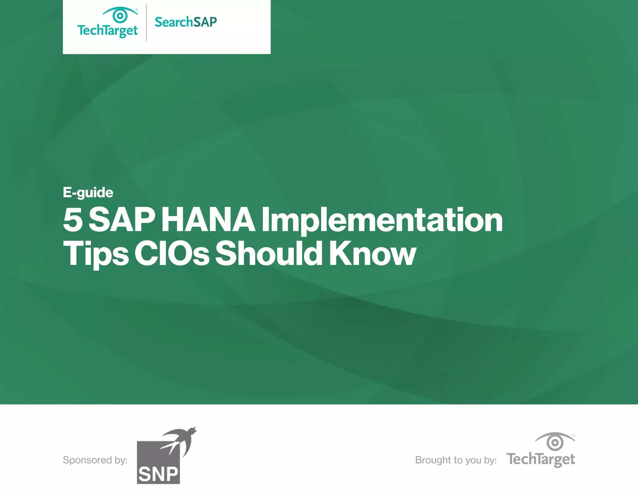 5 SAP HANA Implementation Tips CIOs Sould Know | PPT