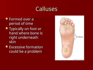 1588933324-classification-of-wounds).ppt