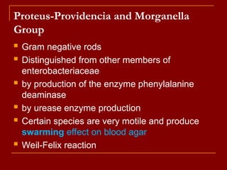 1589111137-proteus una mirada microbiológica | PPT