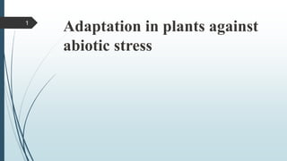 adaptations-in-plants-against-abiotic-stress.pptx | Gardening | Home & Garden