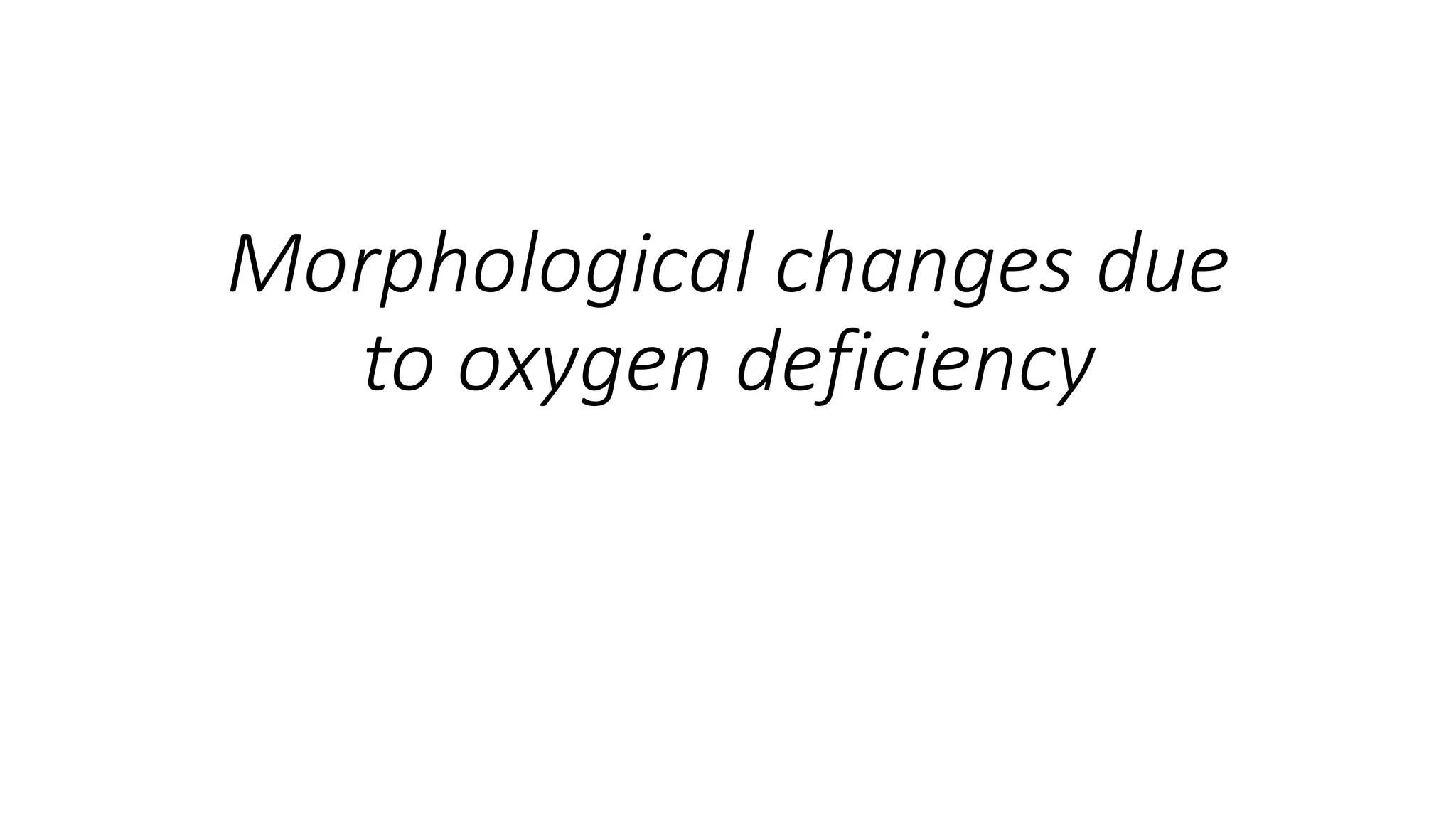 1589270667-43-morphological-changes-due-to-oxygen-deficiency.pptx